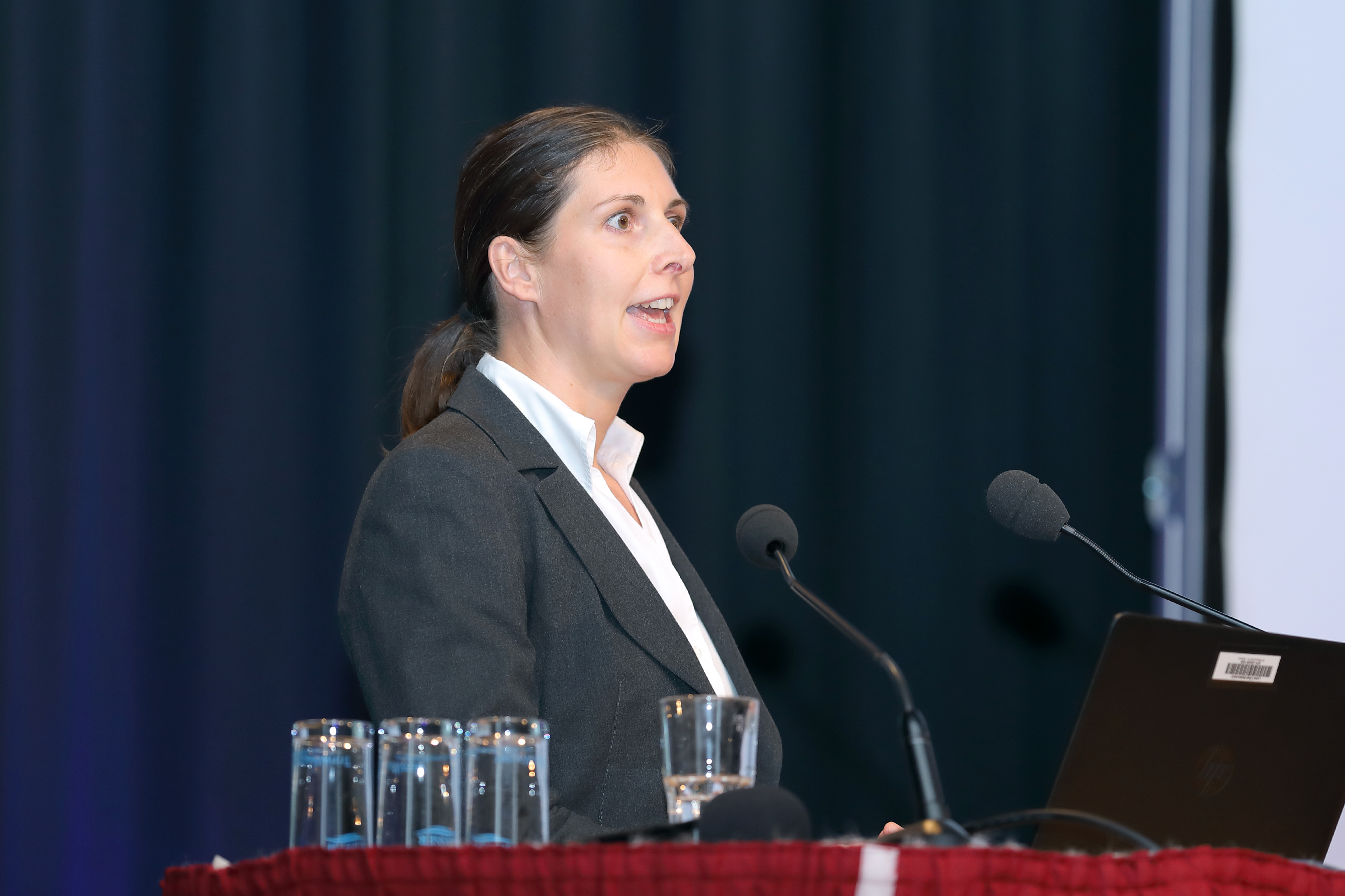 Land Oberösterreich - Dokumentansicht