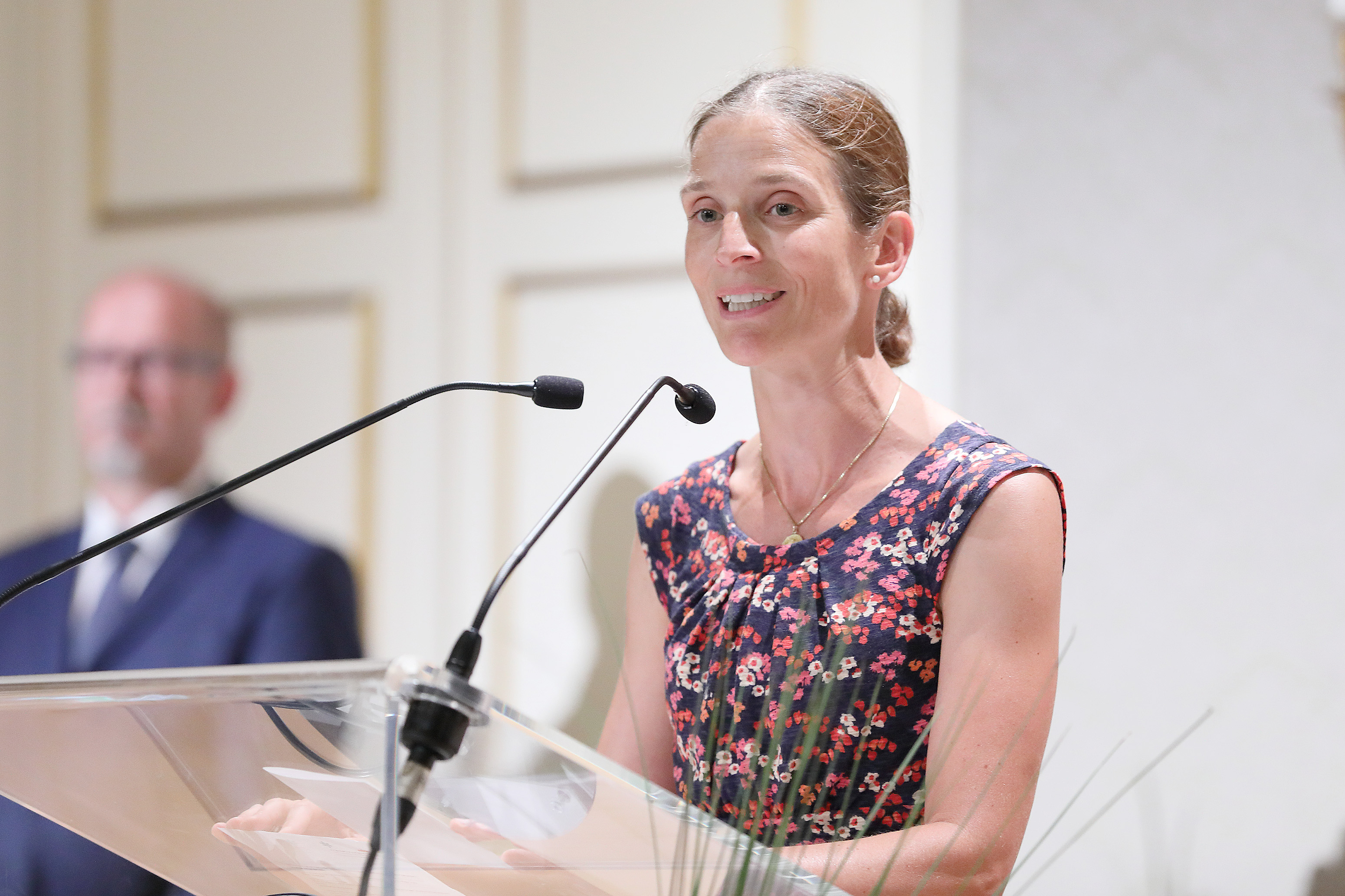 Land Oberösterreich - Dokumentansicht